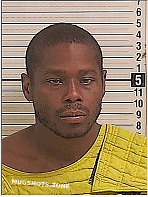 MORGAN LINZELL DION 04/20/2025 - Bay County Mugshots Zone