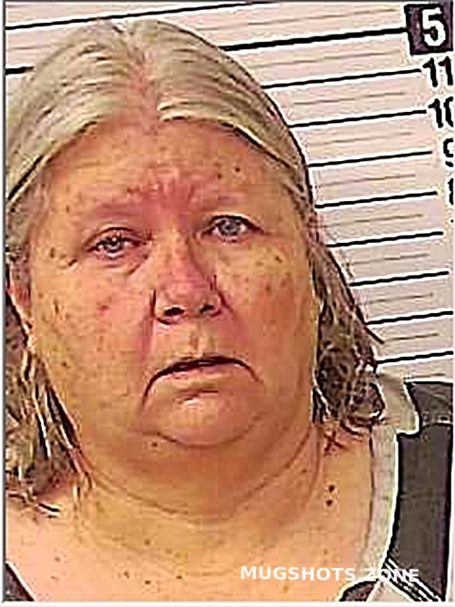 VICKERS JANICE LYNN 04/22/2025 - Bay County Mugshots Zone