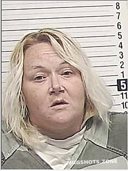 GRAHAM KALEY ANN 04/27/2025 - Bay County Mugshots Zone