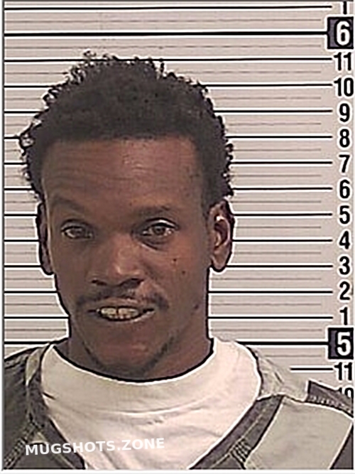 BARRETT CHAVANNE NICHOLI 04/27/2025 - Bay County Mugshots Zone