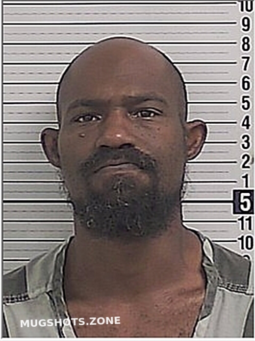 BASIL JAMES WILLIS III 04/28/2025 - Bay County Mugshots Zone