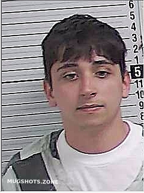 GOLDEN DYLAN DREW 05/01/2025 - Bay County Mugshots Zone