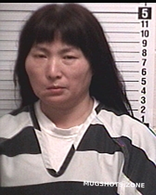 LIU YUQIN 05/05/2025 - Bay County Mugshots Zone