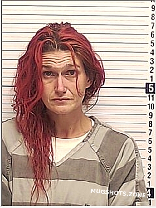 AUDETTE ASHLEY DANIELLE 05/07/2025 - Bay County Mugshots Zone