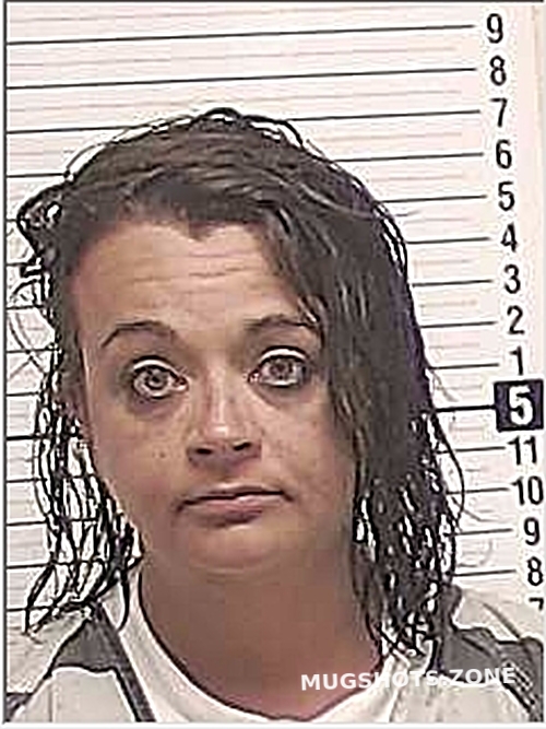 OGUNTIMEHIN CAITLIN LERNER 05/08/2025 - Bay County Mugshots Zone