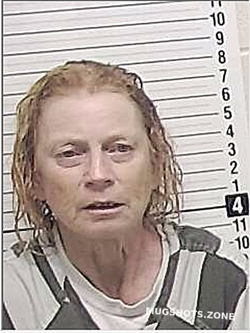 STEINMETZ TAMMY CAROL 05/14/2025 - Bay County Mugshots Zone