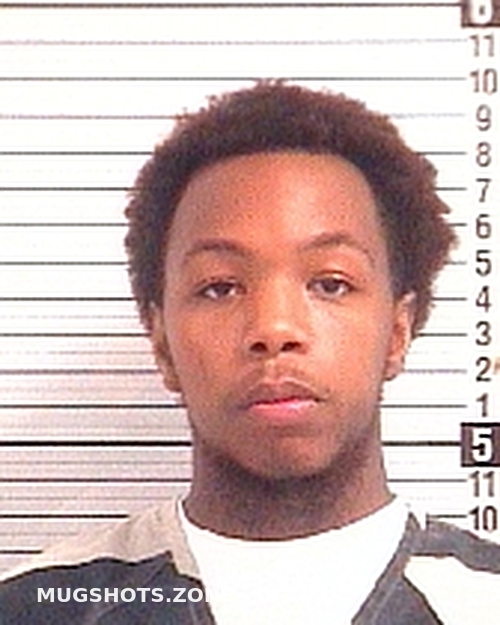 GATSON IAN JOSHUA 05/18/2025 - Bay County Mugshots Zone