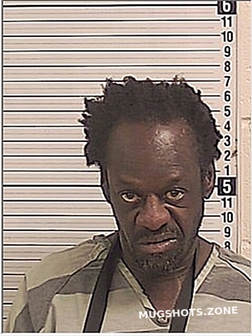 HOLLEY DEVON NIKKARO 05/21/2025 - Bay County Mugshots Zone