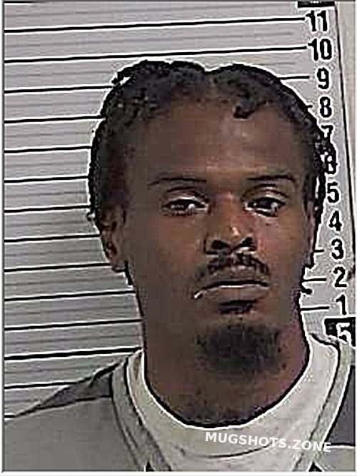 WOLFE-CONWELL TIMOTHY CHARLES 05/23/2025 - Bay County Mugshots Zone