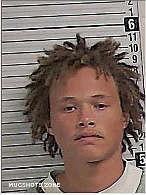 KLINGER JOSHUA THOMAS 06/02/2025 - Bay County Mugshots Zone