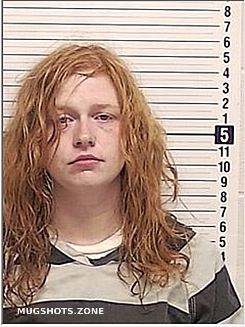 ARMSTRONG DESTINY NICHOLE 06/02/2025 - Bay County Mugshots Zone