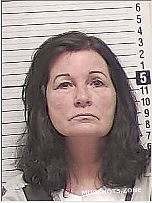 PLUMMER CHERYL ANN 06/03/2025 - Bay County Mugshots Zone