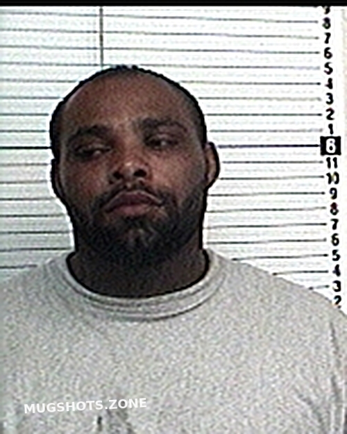 JONES DEMETRICE LESHAUN 06/04/2025 - Bay County Mugshots Zone