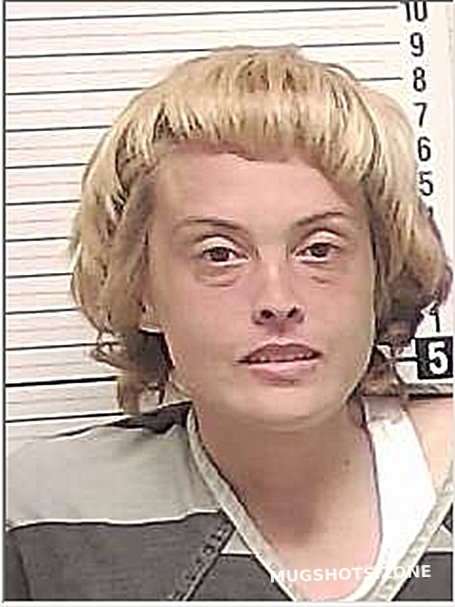 QUEEN COURTNEY NICOLE 06/05/2025 - Bay County Mugshots Zone