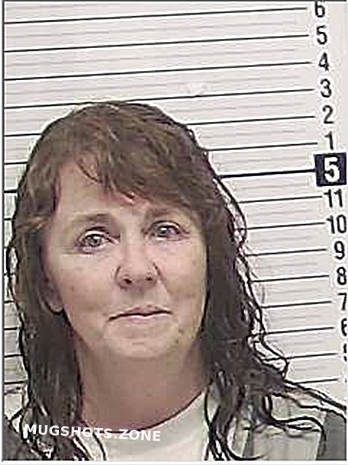 WELLS JULIA ELIZABETH 06/07/2025 - Bay County Mugshots Zone