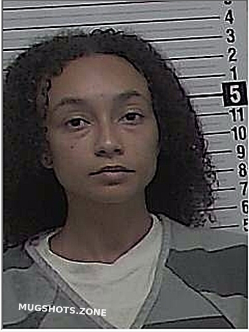 JOHNSON SAMANTHA RENEA 06/18/2025 - Bay County Mugshots Zone