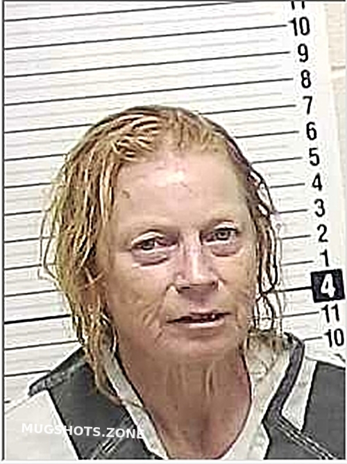 STEINMETZ TAMMY CAROL 06/20/2025 - Bay County Mugshots Zone