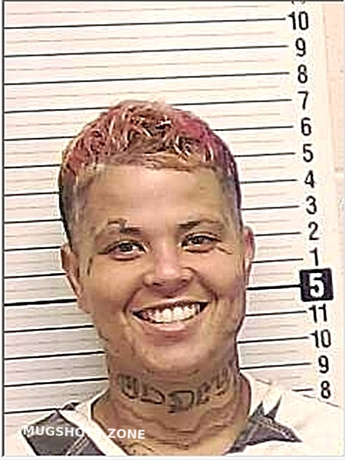 COLLIER SHANTEL KYREA 06/20/2025 - Bay County Mugshots Zone