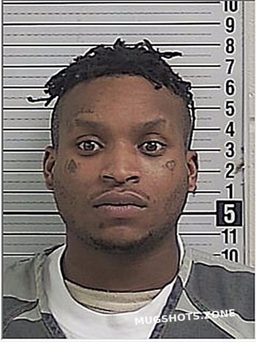 PATRICK DERRICK FITZGERALD 06/29/2025 - Bay County Mugshots Zone