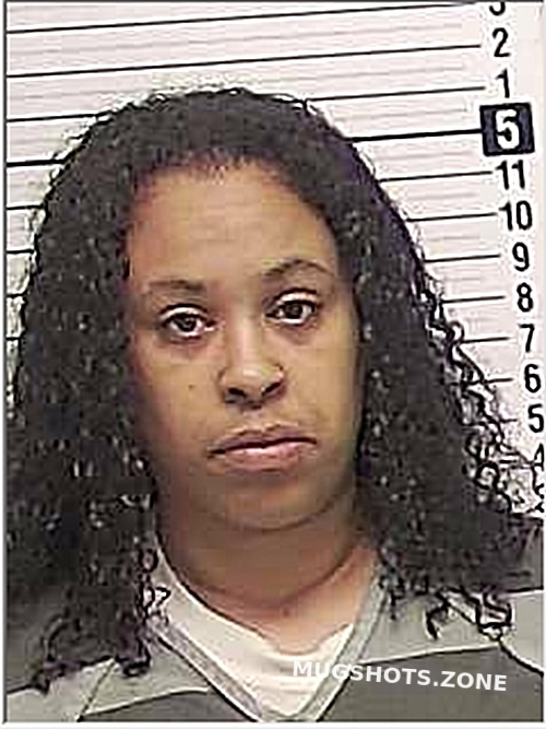 PIRES MONIQUE SOARES 07/04/2025 - Bay County Mugshots Zone