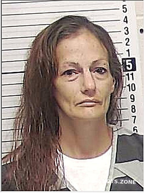 SCHROEDER RANDI LYNN 07/06/2025 - Bay County Mugshots Zone