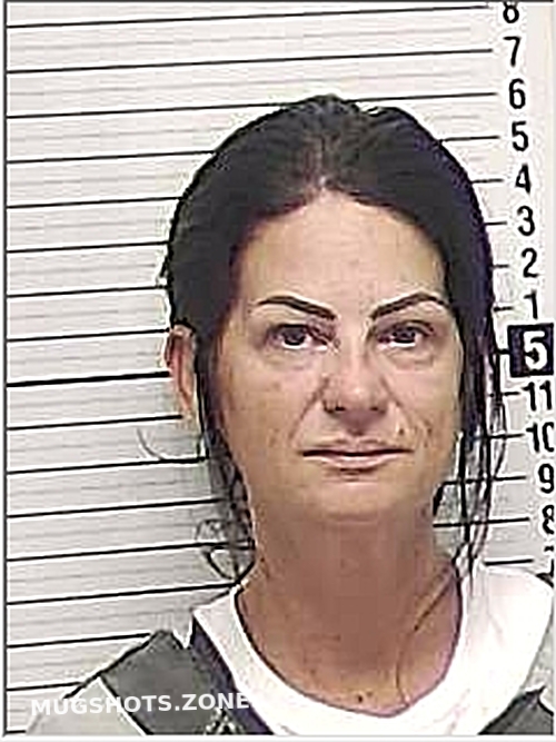 PITTS CRYSTAL LYNN 07/07/2025 - Bay County Mugshots Zone