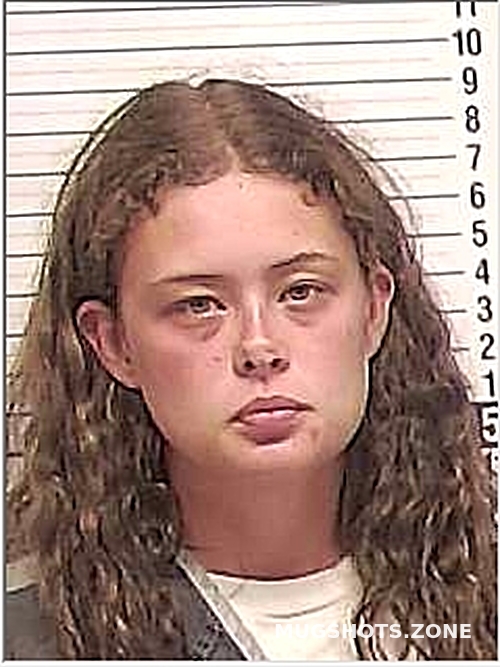 FIEGER HAYLEE JOANNE 07/11/2025 - Bay County Mugshots Zone