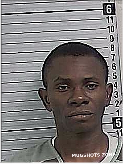 THOMAS OWEN DELROY 07/25/2025 - Bay County Mugshots Zone