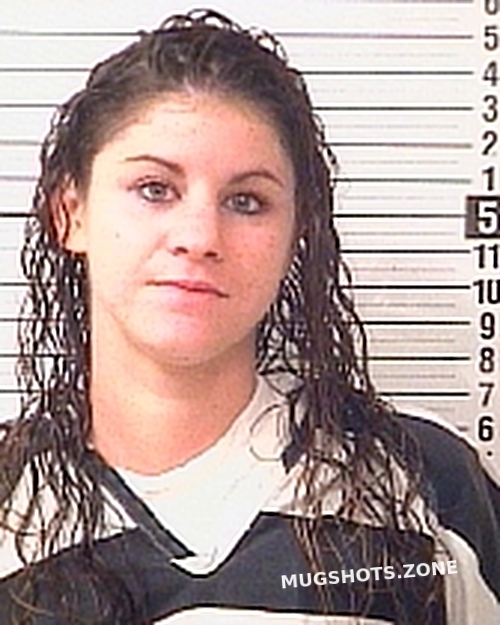 VOLLMER KAILEE ANN 07/29/2025 - Bay County Mugshots Zone