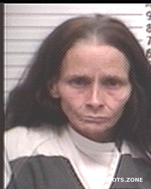 FIDLER DEBORAH ANN 08/04/2025 - Bay County Mugshots Zone