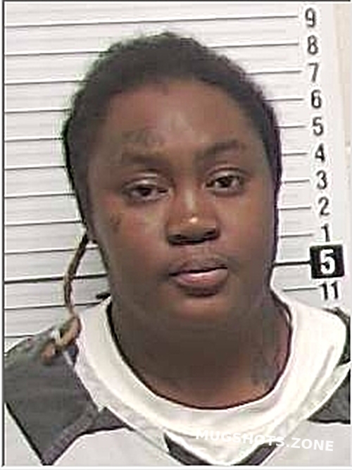 ROBINSON KACIAH SHANIA 08/07/2025 - Bay County Mugshots Zone