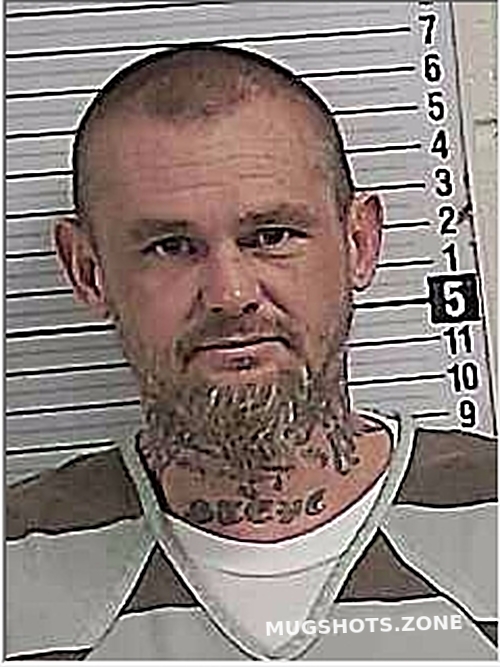 BRIDGES STEVEN DEWAYNE 08/07/2025 - Bay County Mugshots Zone