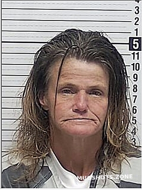 MCQUISTON STELLA BROOKS MARYANN 08/13/2025 - Bay County Mugshots Zone