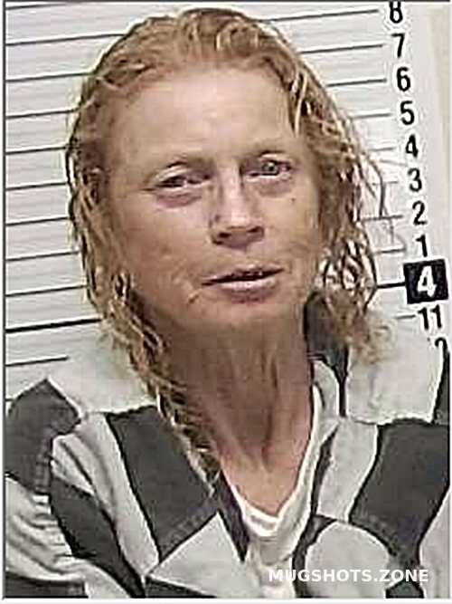 STEINMETZ TAMMY CAROL 09/05/2025 - Bay County Mugshots Zone