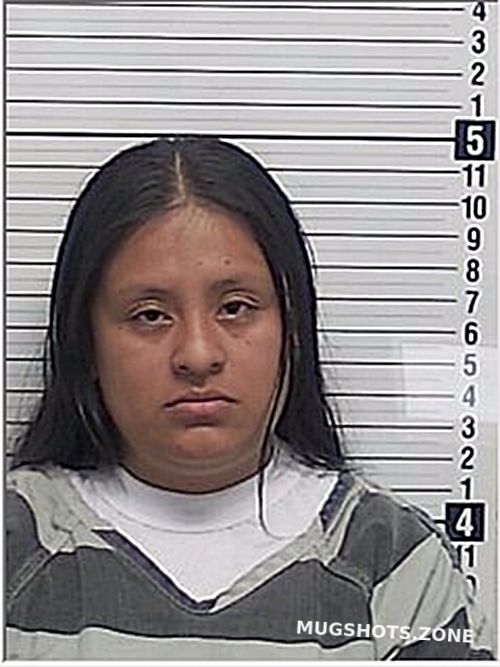 VERDUGO BRAVO IRIS YESENIA 09/28/2025 - Bay County Mugshots Zone