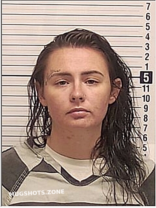 KELLEY ALLYSON K 10/19/2025 - Bay County Mugshots Zone