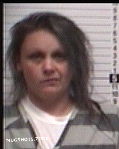 PYNES JESSICA NICOLE 11/10/2025 - Bay County Mugshots Zone