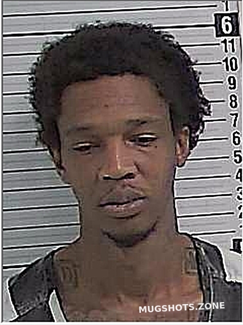 WILLIAMS FREDERICK EUGENE JR 11/14/2025 - Bay County Mugshots Zone