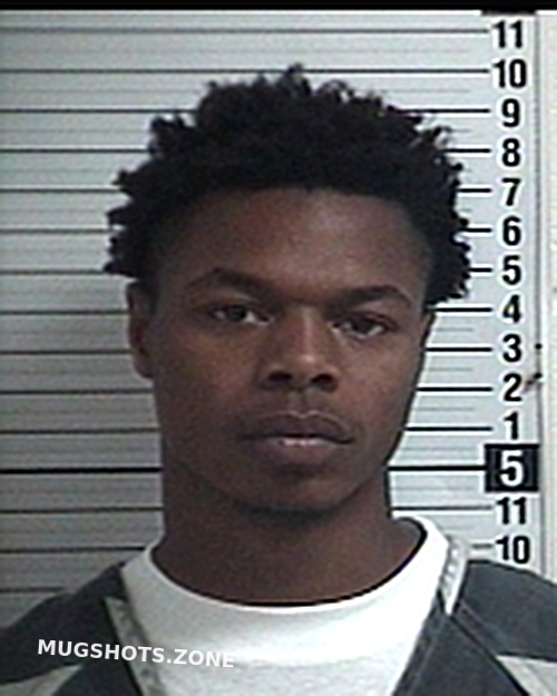 MING MARLO ANTONIO 11/22/2025 - Bay County Mugshots Zone