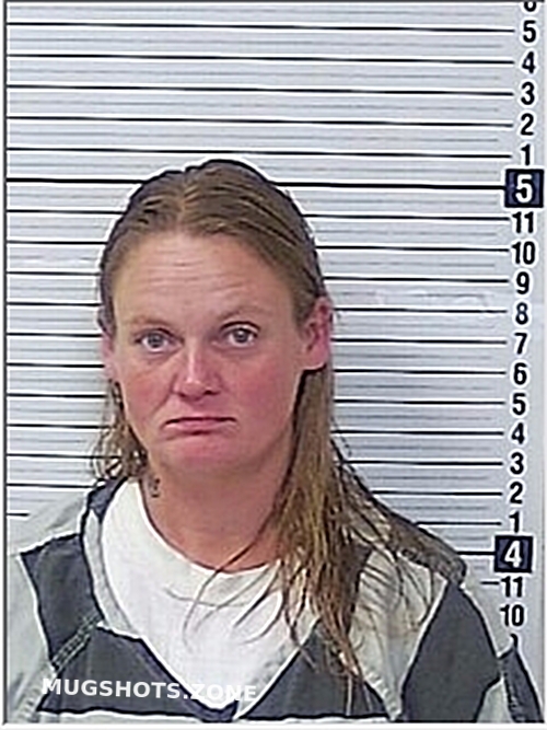 DAILEY NICOLE LYNN 12/06/2025 - Bay County Mugshots Zone