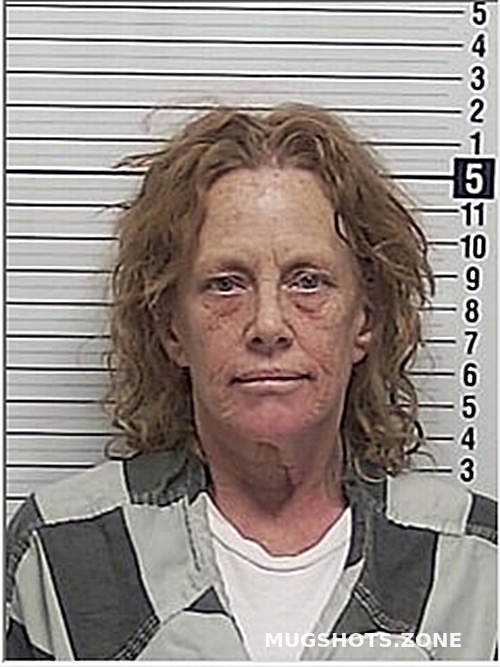 DAVIS SHARON MARIE 12/09/2025 - Bay County Mugshots Zone