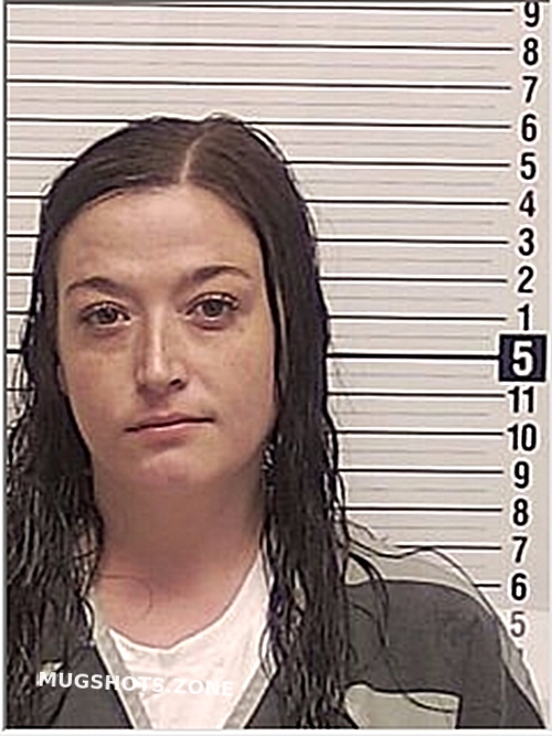 HAND ABIGAIL MICHELLE 01/12/2026 - Bay County Mugshots Zone