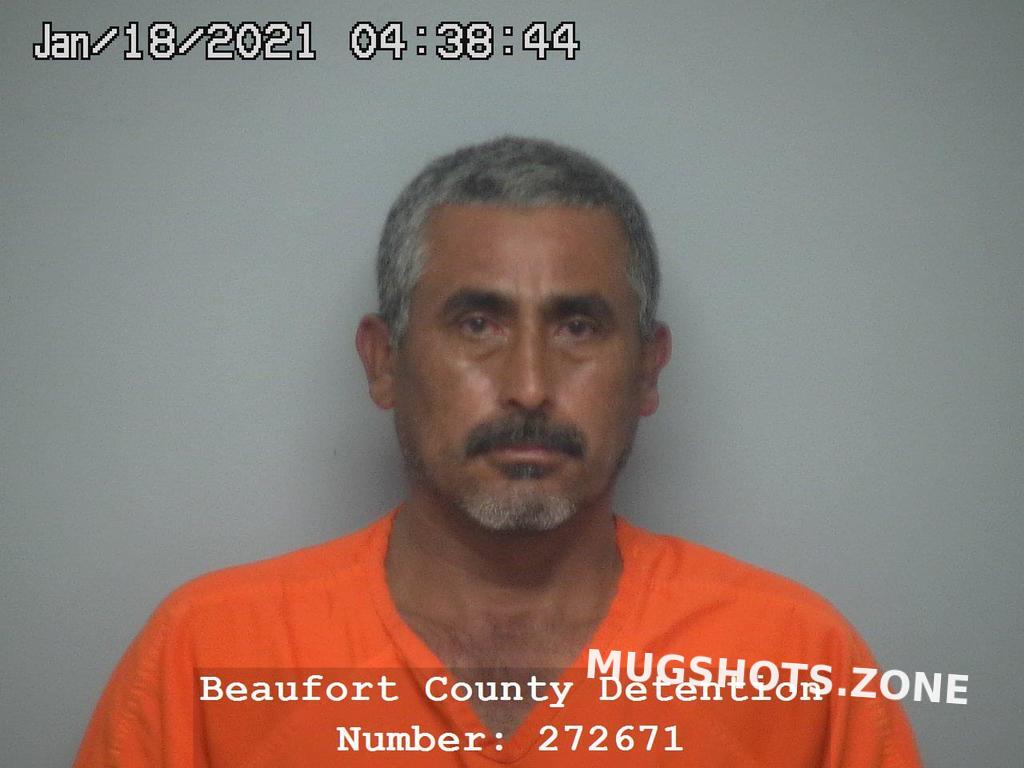 IGNACIO ROMERO-MOTA 01/18/2021 - Beaufort County Mugshots Zone