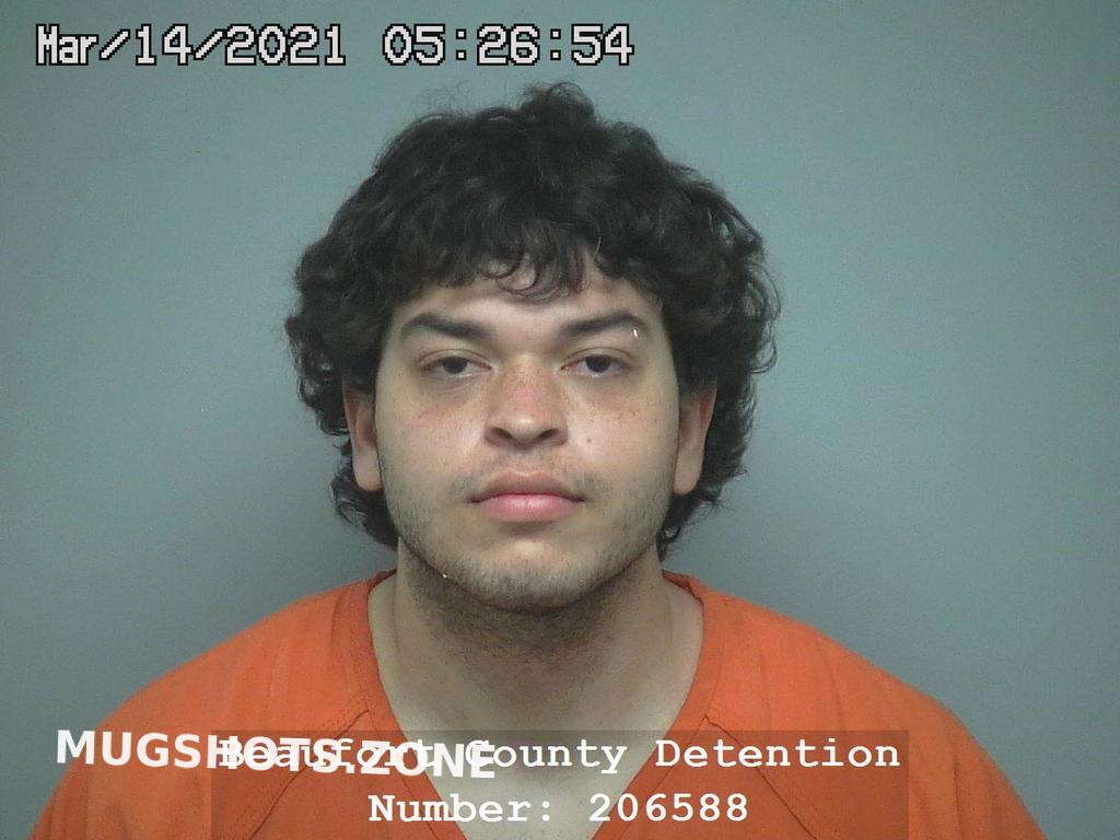 ELIJAH EUGENE MCDANIEL 03/14/2021 - Beaufort County Mugshots Zone
