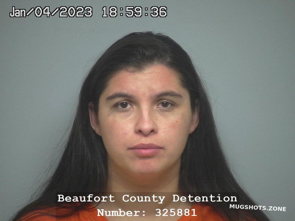 CARLA DANIELA SANCHEZ SEPULVEDA 01/04/2023 - Beaufort County Mugshots Zone