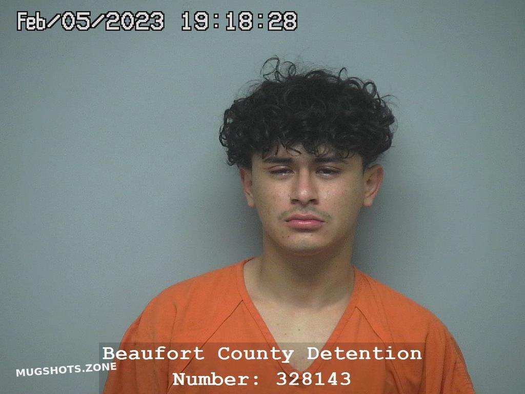 ELMER ALEXIS MALDONADO 02/05/2023 - Beaufort County Mugshots Zone