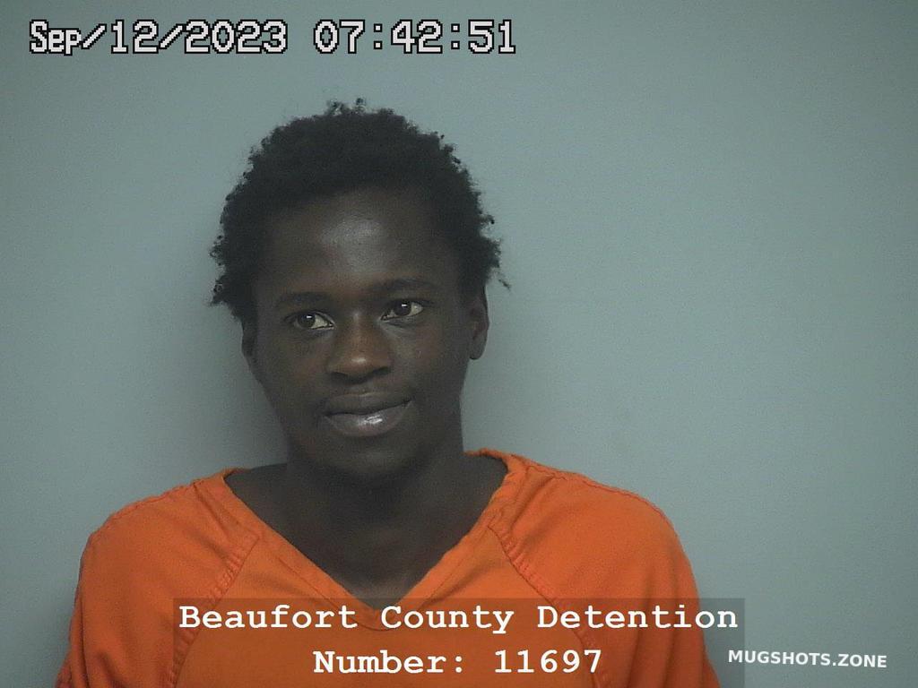 CAM'RON TARIA WILLIAMS 09/12/2023 - Beaufort County Mugshots Zone