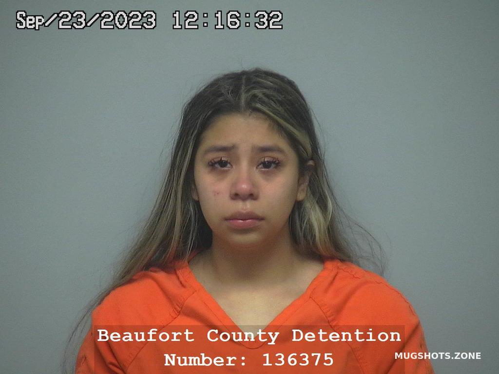 ANA DALAY ZAVALETA 09/23/2023 - Beaufort County Mugshots Zone
