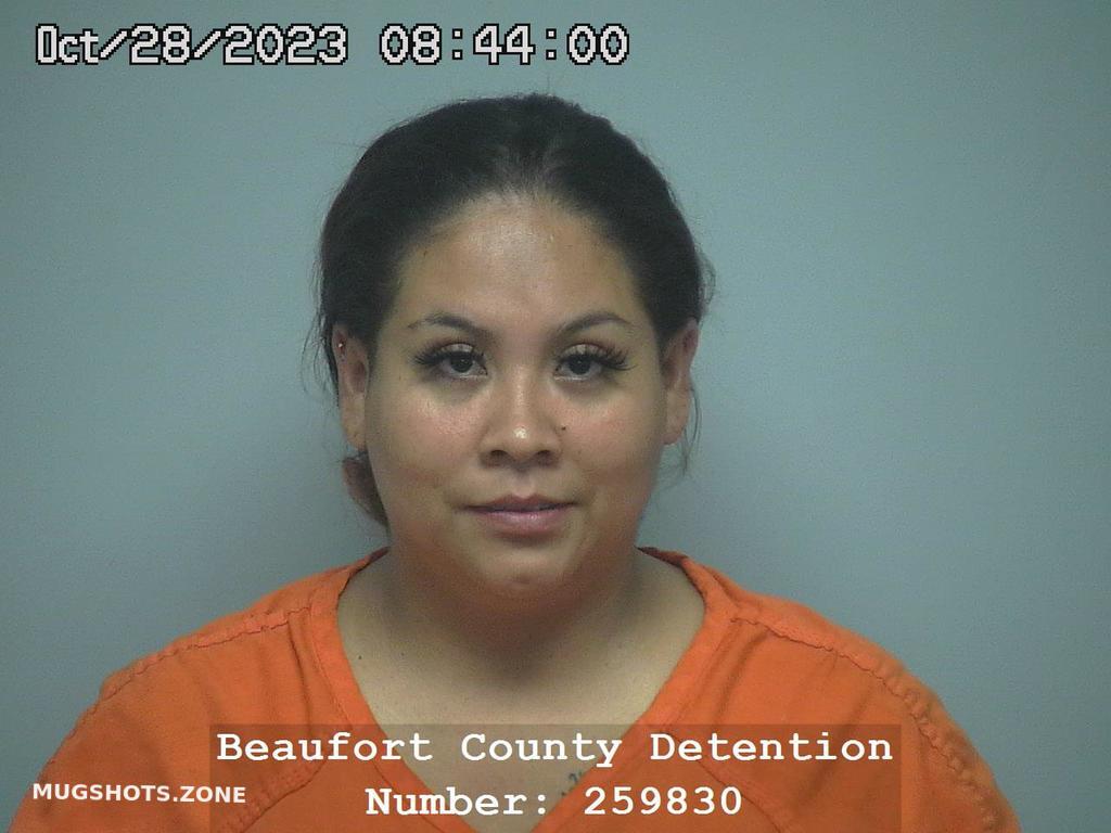 MAYRA ISABEL ROMERO-FERNANDEZ 10/28/2023 - Beaufort County Mugshots Zone