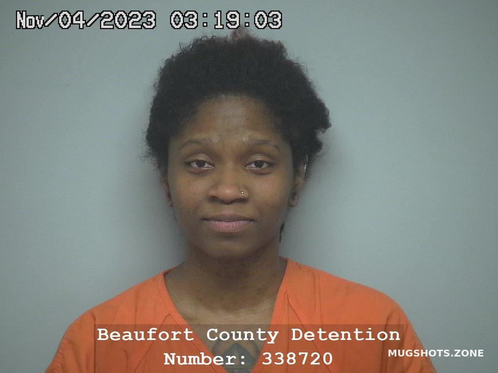 AUDREY NICOLE BUTLER 11/04/2023 - Beaufort County Mugshots Zone